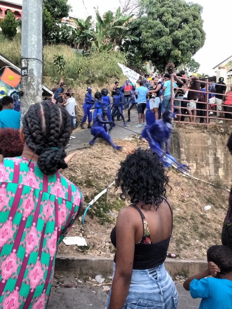 Blue Devils in Trinidad – TRAVELWITHZOE